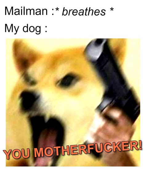 Aye Yo Chill Chill Rmemes