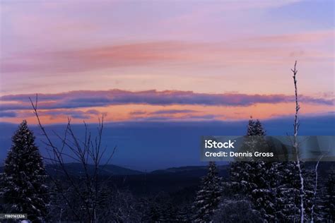 독일 하르츠 마운틴 국립공원의 소나무 숲 위의 일몰 0명에 대한 스톡 사진 및 기타 이미지 0명 겨울 경관 Istock