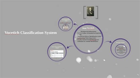 Vucetich Classification System By Stephanie Williams On Prezi
