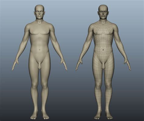 Male Full Body Nude D Model Ds Blend C D Fbx Ma Obj Max