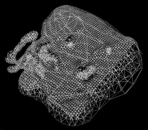 2 Common Output From The Poisson Mesh Construction Method Download