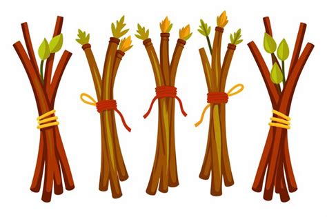 Sassafras Twig Color Art Capturing The Subtle Charm Of Sassafras Twig Premium Ai Generated Vector Sassafras Twig Color Art Capturing The Subtle Charm Of Sassafras Twig Premium Ai Generated Vector