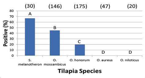 Distribution Of Fno Among Tilapia Species Download Scientific Diagram