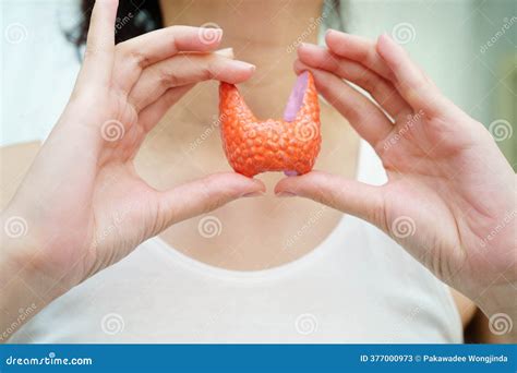 Hyperthyroidism Overactive Thyroid Thyroid Lymphoma Asian Doctor With Thyroid Gland Human