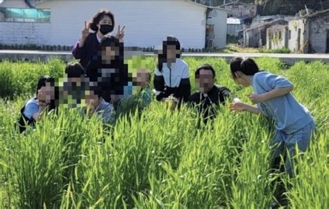 즐거운 텃밭 수업 감자 북주기 해바라기씨 심기 네이버 블로그