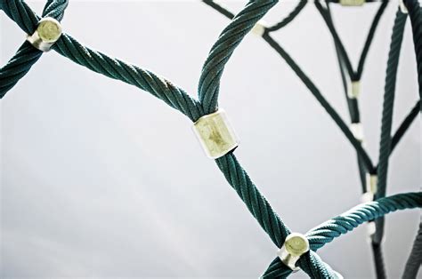무료 이미지 분기 로프 잎 끈 꽃 바람 케이블 선 봄 녹색 푸른 링크 보안 코드 작은 가지 닫다