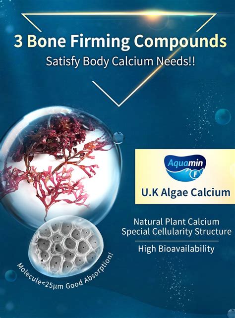 Uniqman Algae Calcium Capsules【natural Calcium】 Bhks X Uniqman