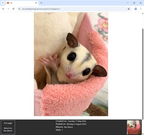 Ubuntu 2404 Apache2 Photo Gallery Piwigo Server World