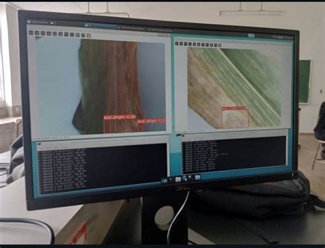 Deep Learning Powered Pests And Diseases Detection In Maize Devpost