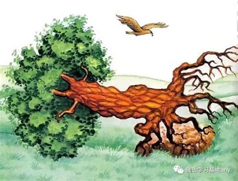 克雷洛夫寓言的图画 克雷洛夫寓言简笔画 克雷洛夫寓言绘画 大山谷图库