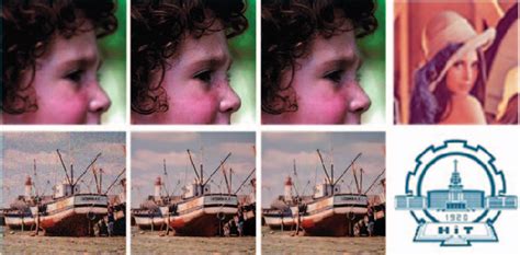 Figure 3 From A Robust Watermarking Method For Image Processing Models