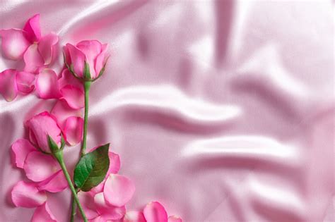 부드러운 핑크 실크 직물 로맨스와 사랑 카드 개념에 꽃다발 달콤한 핑크 장미 꽃잎 결혼식에 대한 스톡 사진 및 기타 이미지 결혼식 경관 공단 Istock