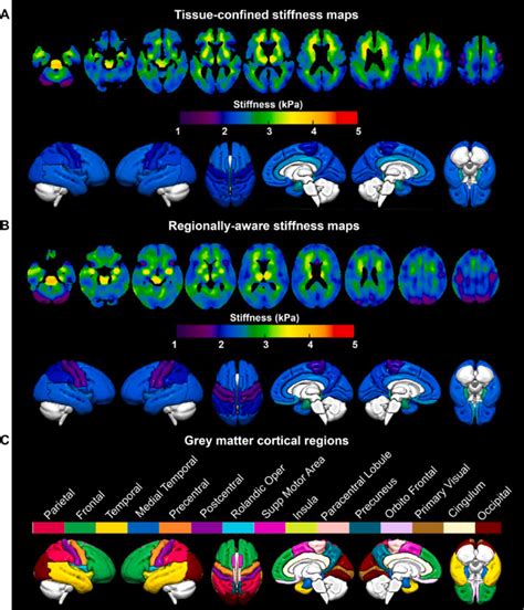 Mean Stiffness Of Cu For Tissue Confined A And Regionally Aware B