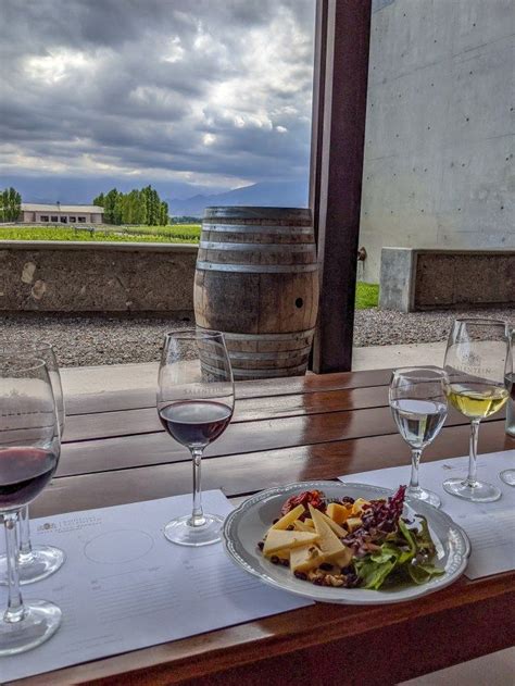 The Best Wineries And Tours In Mendoza Argentina Aliciamarietravels