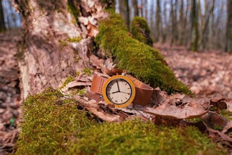 Premium Photo View Of Clock On Tree Trunk
