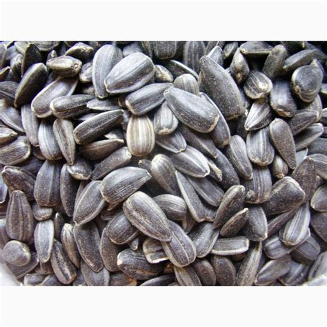 Продаем Семечку подсолнечника, купить семечку подсолнечника, Полтава ...