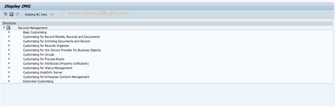 Srmcustomizing Sap Tcode Customizing Records Management Transaction Code