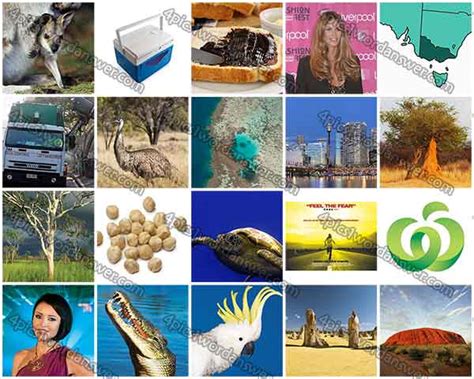 100 Pics Australia Day Quiz Level 41 60 Answers 4 Pics 1 Word Daily Puzzle Answers