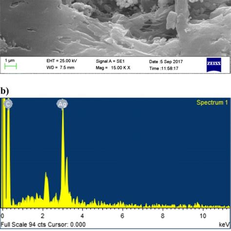 A Scanning Electron Microscopy Sem Image And The B Energy