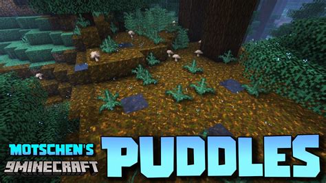 Motschens Puddles Mod 1 19 2 1 18 2 Weather Interactions Mc Mod Net