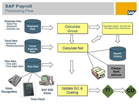 Payroll Process Sap Hr Payroll Process Steps