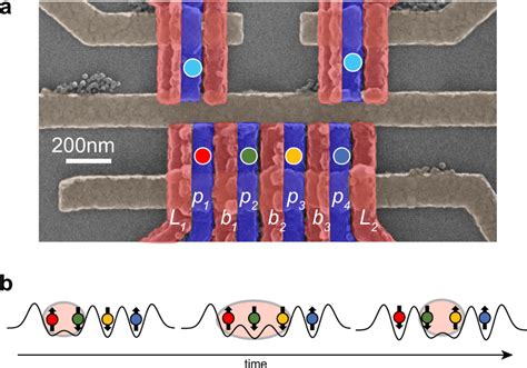 Experimental Setup A False Color Scanning Electron Micrograph Of A Download Scientific Diagram