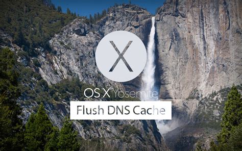 Flushing Your DNS Cache