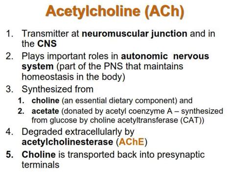 Neurotransmitters Pptx Endocrine And Metabolic Diseases Diseases