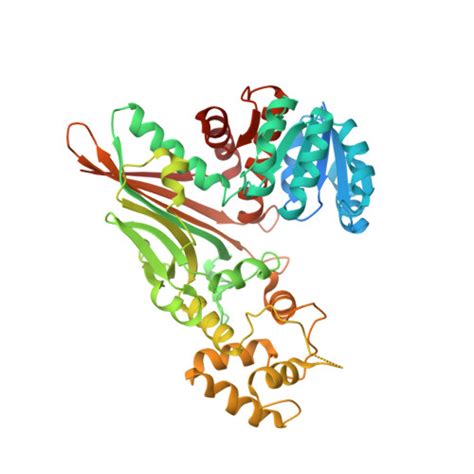 Rcsb Pdb 5l78 Crystal Structure Of Human Aminoadipate Semialdehyde Synthase Saccharopine