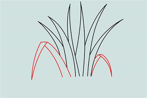 How To Draw Grass Realistic Simple Easy And Fun