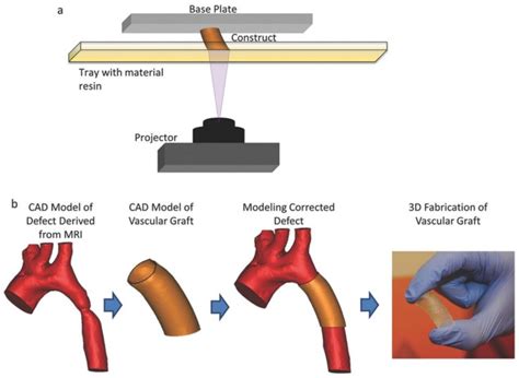 Current Strategies For Engineered Vascular Grafts And Vascularized Tissue Engineering Pmc
