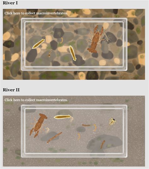 Using Macroinvertebrates As Bioindicators