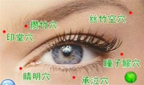 瞳子髎穴 经络穴位 气功人网