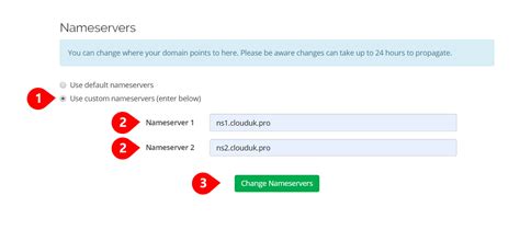 How To Update Your Et Domain Nameserver From Ethiotelecom Yegara