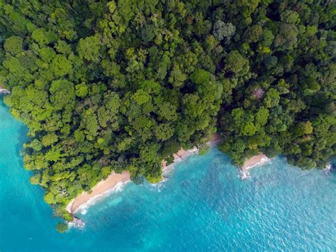 An Indigenous Language Book Presents The Unique Biodiversity Of A