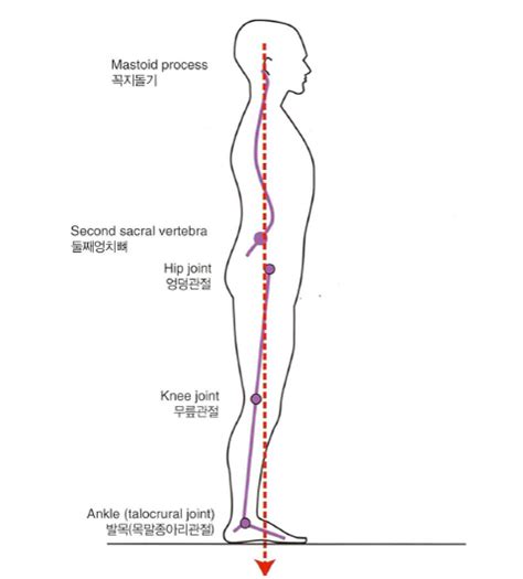 척추에 부담가지 않는 가장 좋은 자세에 대해 거창 튼튼의원에서 알려드리겠습니다 네이버 블로그