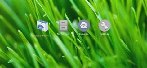Chromium OS Shown Working With Desktop Manager