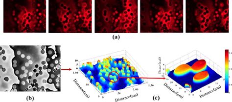 A Five Phase Shifted Interferograms With A Phase Step Of π∕2 For 720 Download Scientific