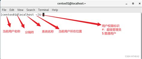 Linux入门级命令 CSDN博客