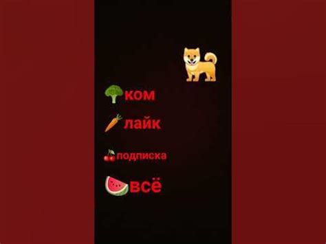 накорми - YouTube