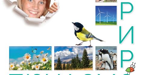 Календарне Коршевнюк 5 клас Пізнаємо природу НУШ Робоча програма Природознавство