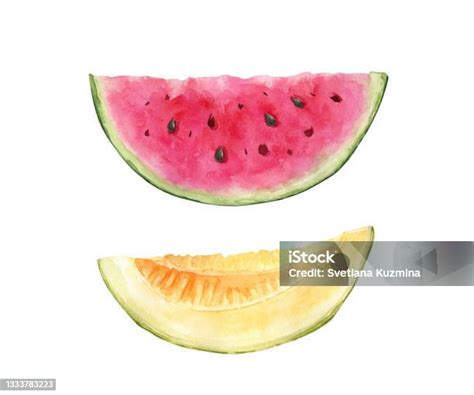 검은 씨앗과 노란색 멜론잘 익은 붉은 수박 슬라이스의 수채화 그림 손으로 칠했습니다 수박에 대한 스톡 벡터 아트 및 기타 이미지