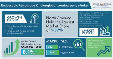 Why Is Endoscopic Retrograde Cholangiopancreatography Importance ~ Prescient And Strategic