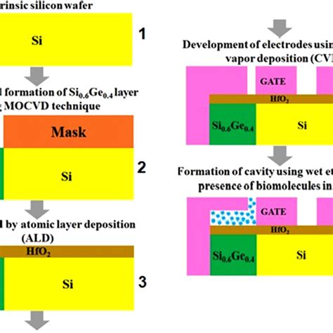 Manufacturing Process For The Design Of The Proposed Biosensor Download Scientific Diagram