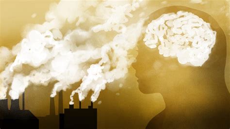 Ettiene Roets On Linkedin Scientists Are Finding Increasing Evidence For A Link Between Air…