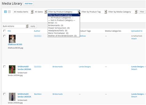 Enhanced Media Library Pro Plugin For Wordpress First Look Nsiteful Web Builders