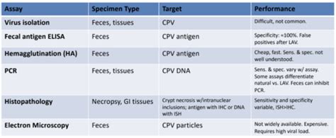 Lec Flashcards Quizlet