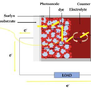 The Working Scheme Of DSSC Download Scientific Diagram