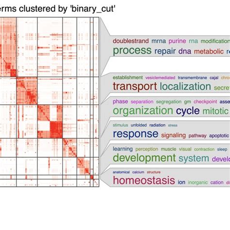 Heatmap Of The Go Term Similarities From The 195 Sample Gene List The Download Scientific