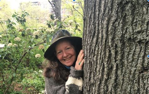 16th Ihs Full Course Bundle Ihs Learning Center